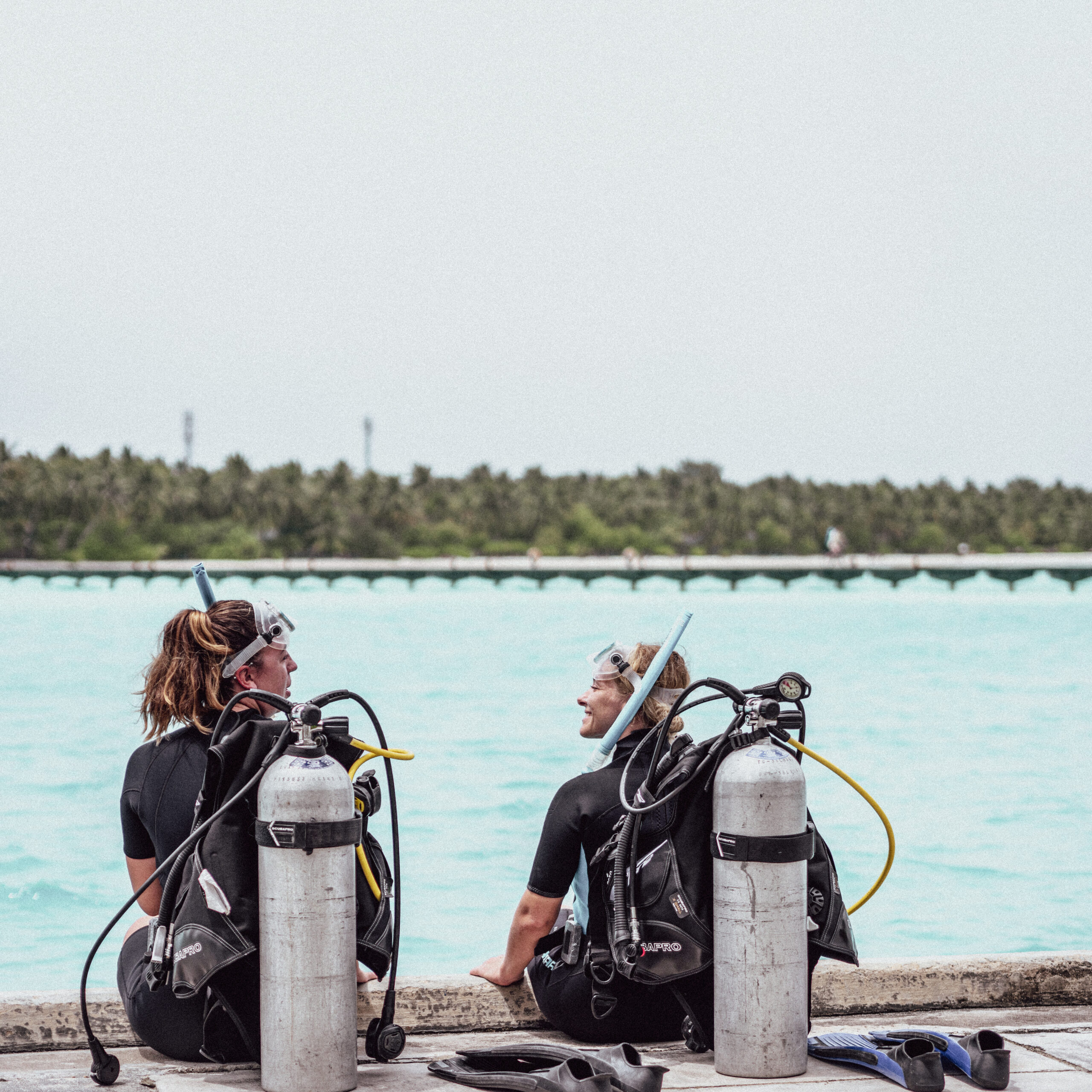 Discover a New World Underwater | The Shell by Villa Resorts Maldives