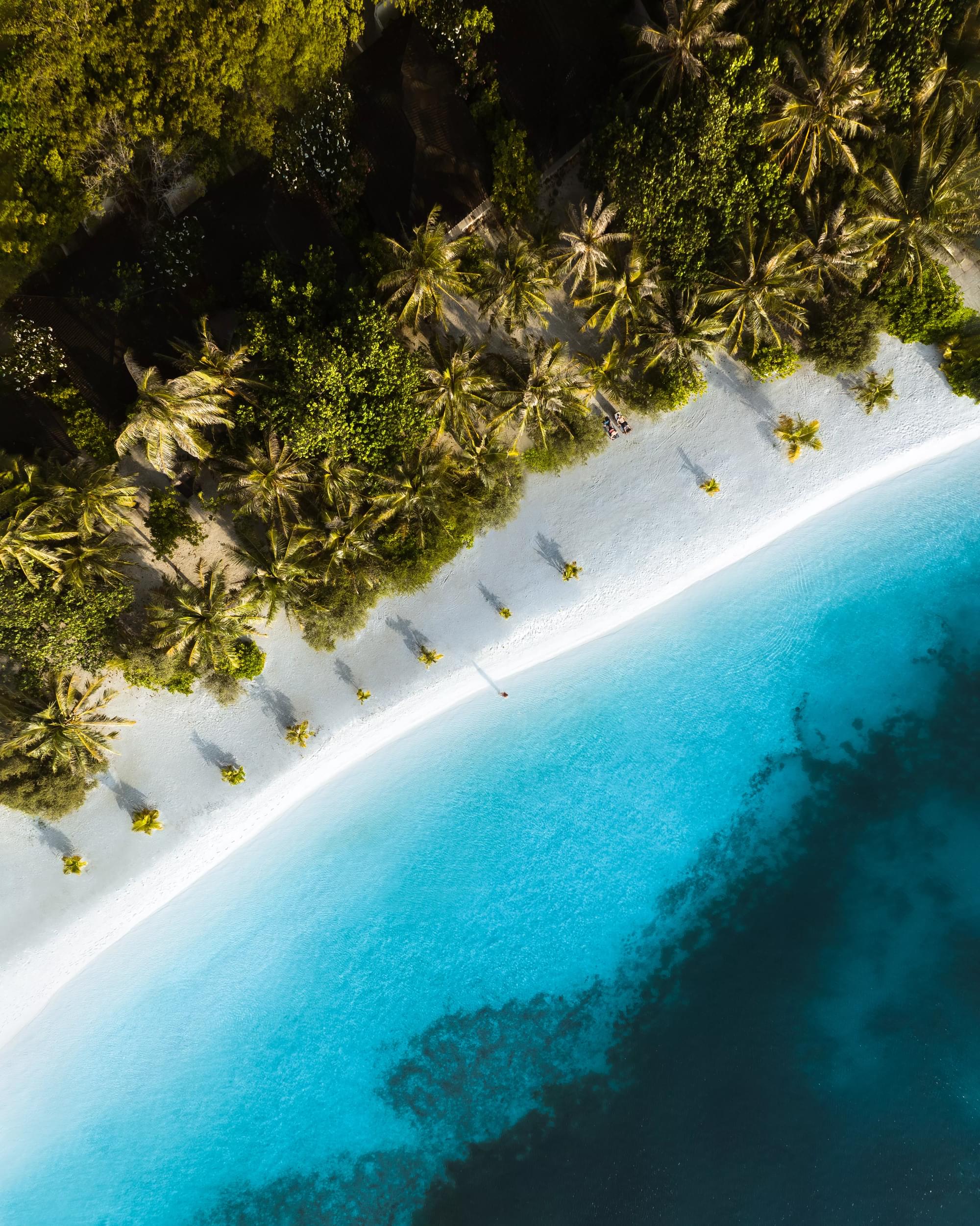 The Shell Magazine | Villa Resorts Maldives