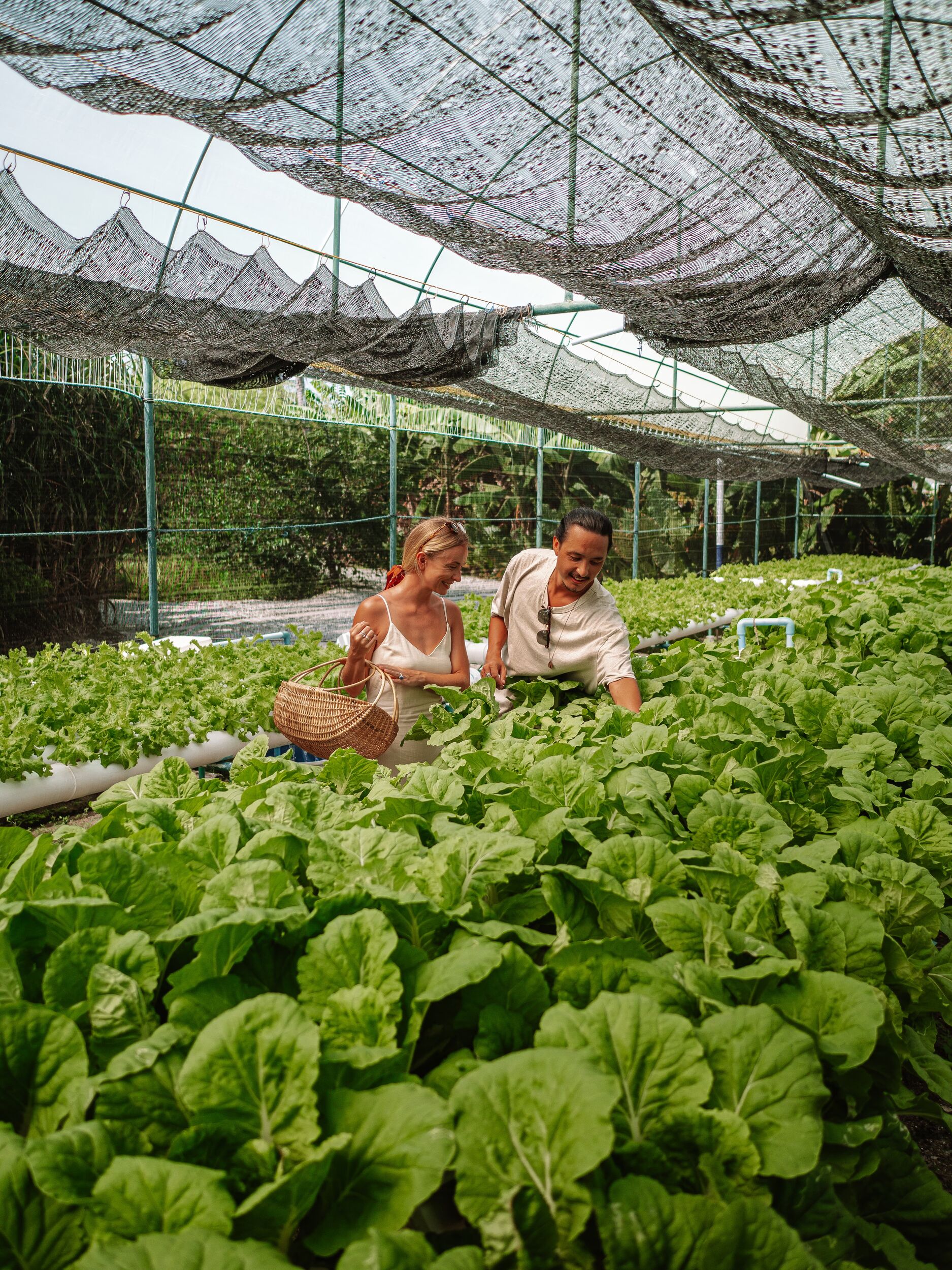 Villa Resorts’ Commitment to a Greener Tomorrow | The Shell by Villa ...